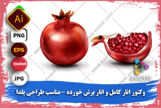 وکتور انار کامل و انار برش خورده مناسب طراحی شب یلدا 16 تیر